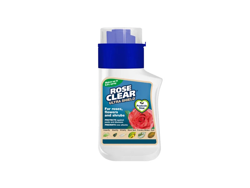 Rose Clear Ultra Shield - concentrate.